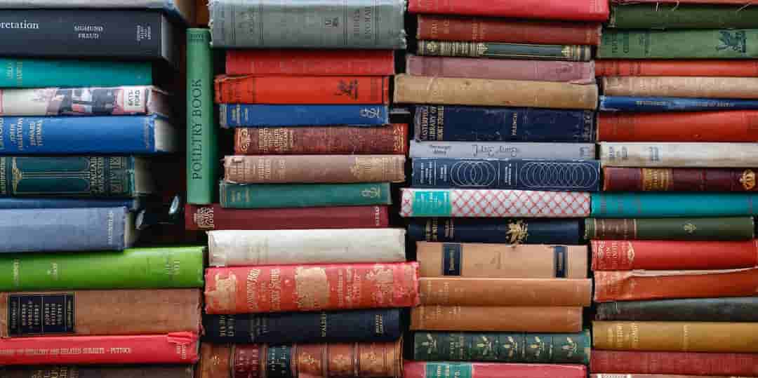 How many books will you read in 2025? 📚